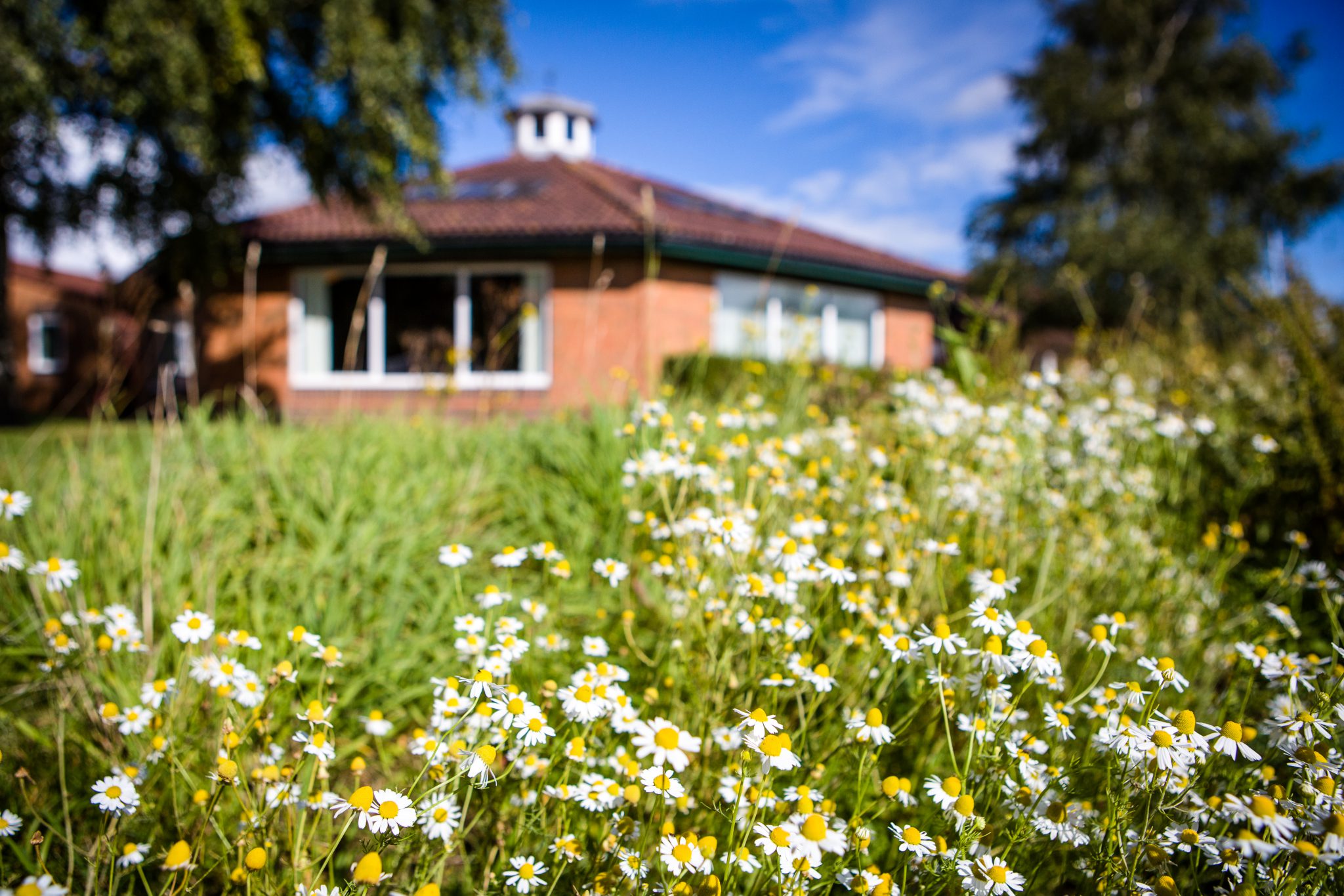Helen Ley Centre-64 - Castel Froma Neuro Care