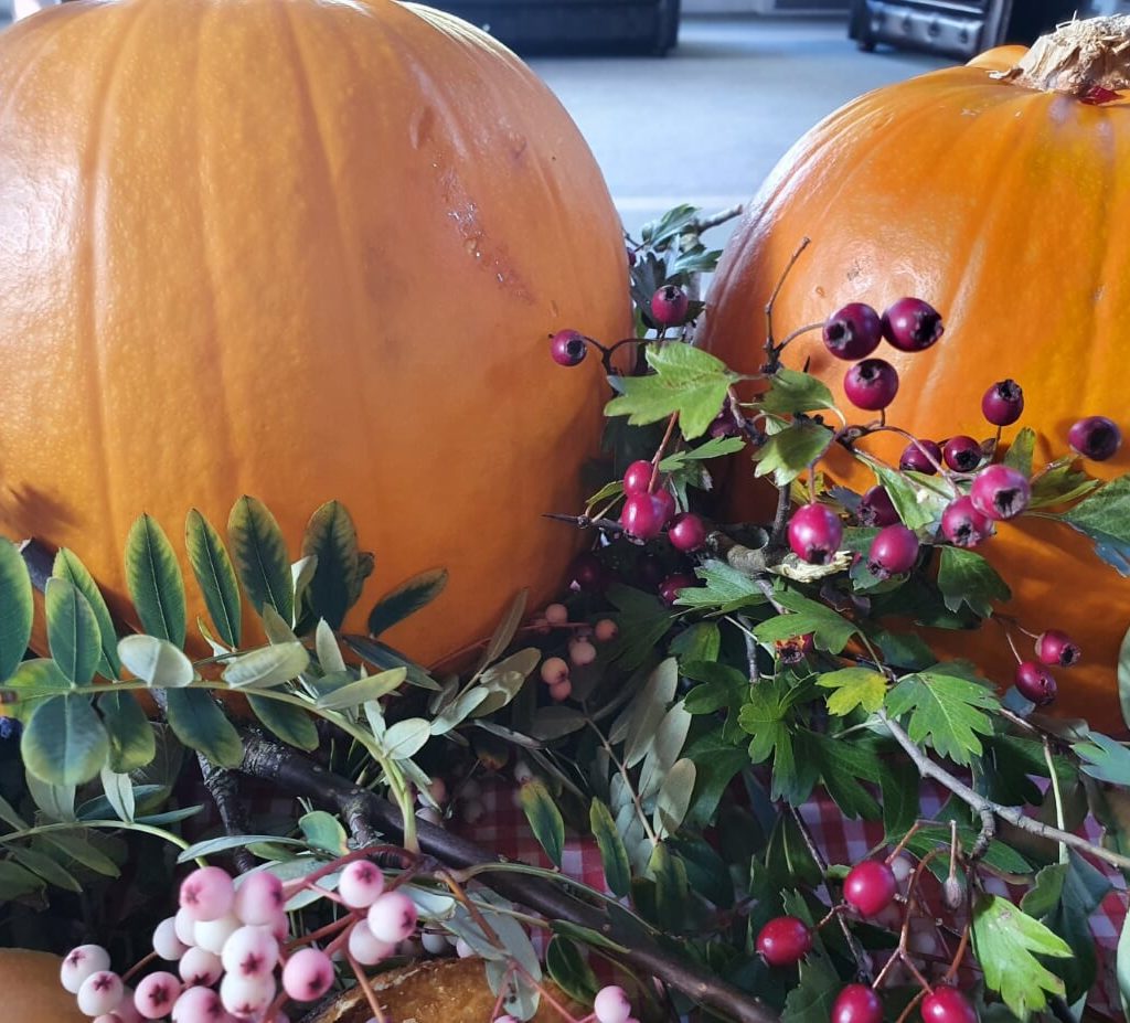 20201015_104220 - Castel Froma Neuro Care