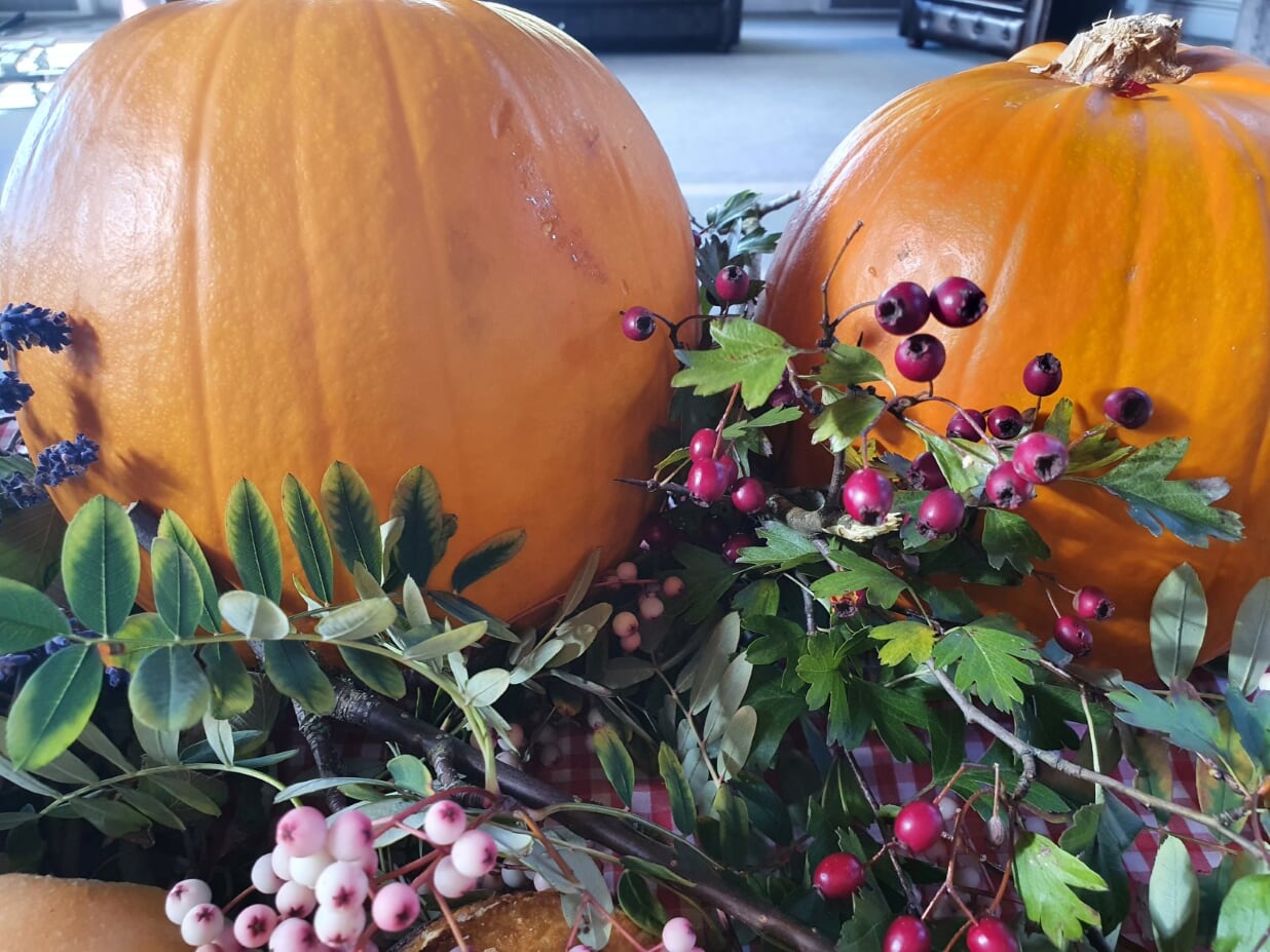 20201015_104220 - Castel Froma Neuro Care